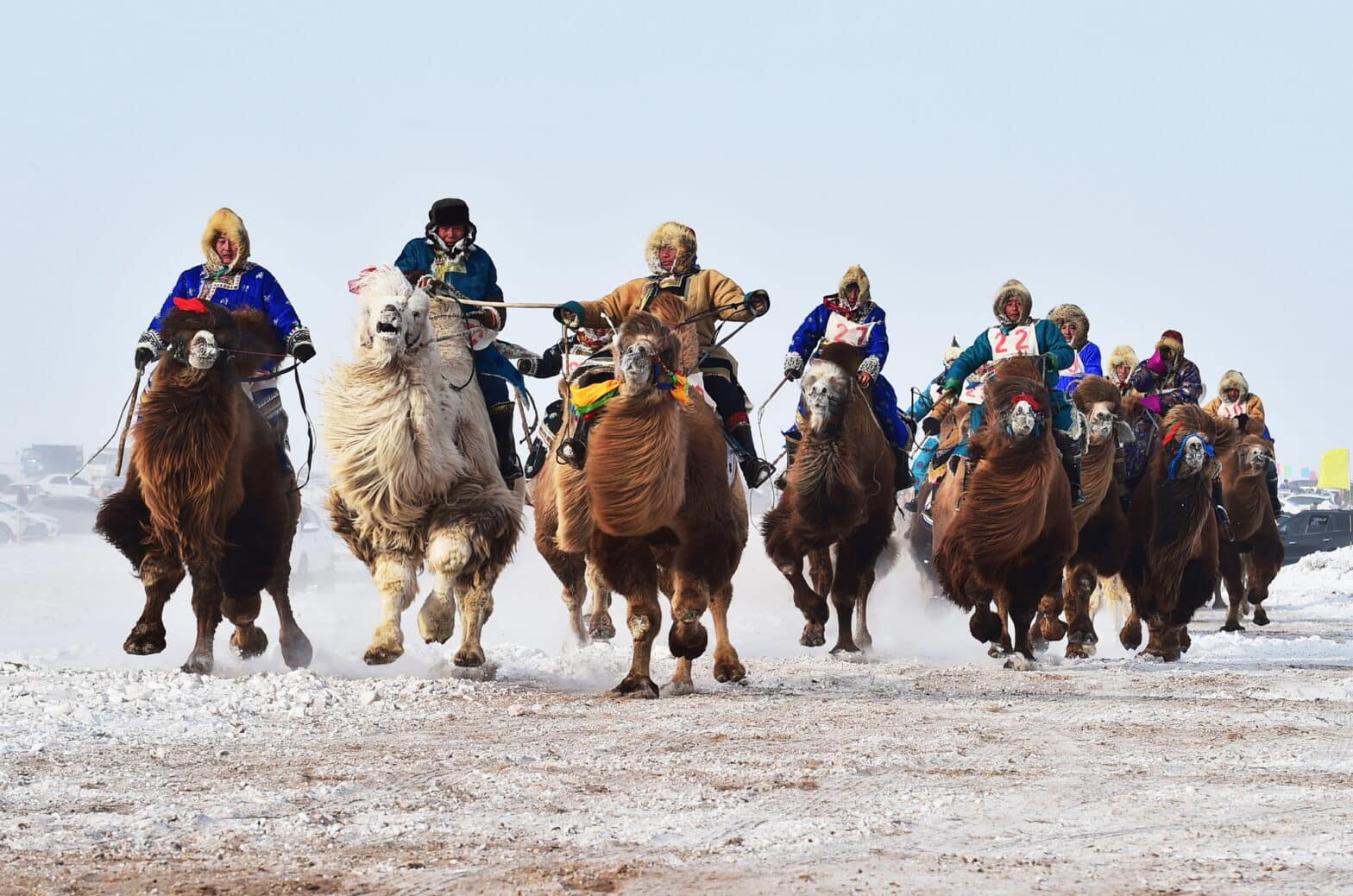 Tips for Attending the Golden Eagle Festival: the Biggest Gathering of Eagle Hunters in Mongolia ...
