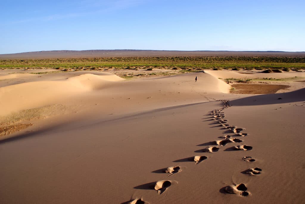 12-day Gobi Desert Group Tour: Dinosaurs, Dunes, & Saddles - Meanwhile ...